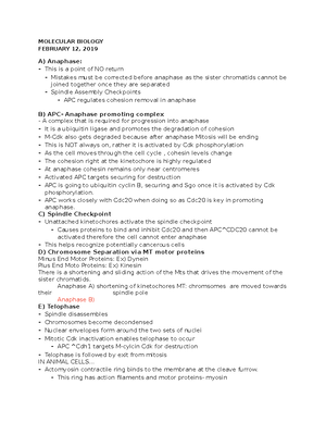 Molec bio Exam 2 - back test for studying - Exam 2: March 23, 2010 Name ...