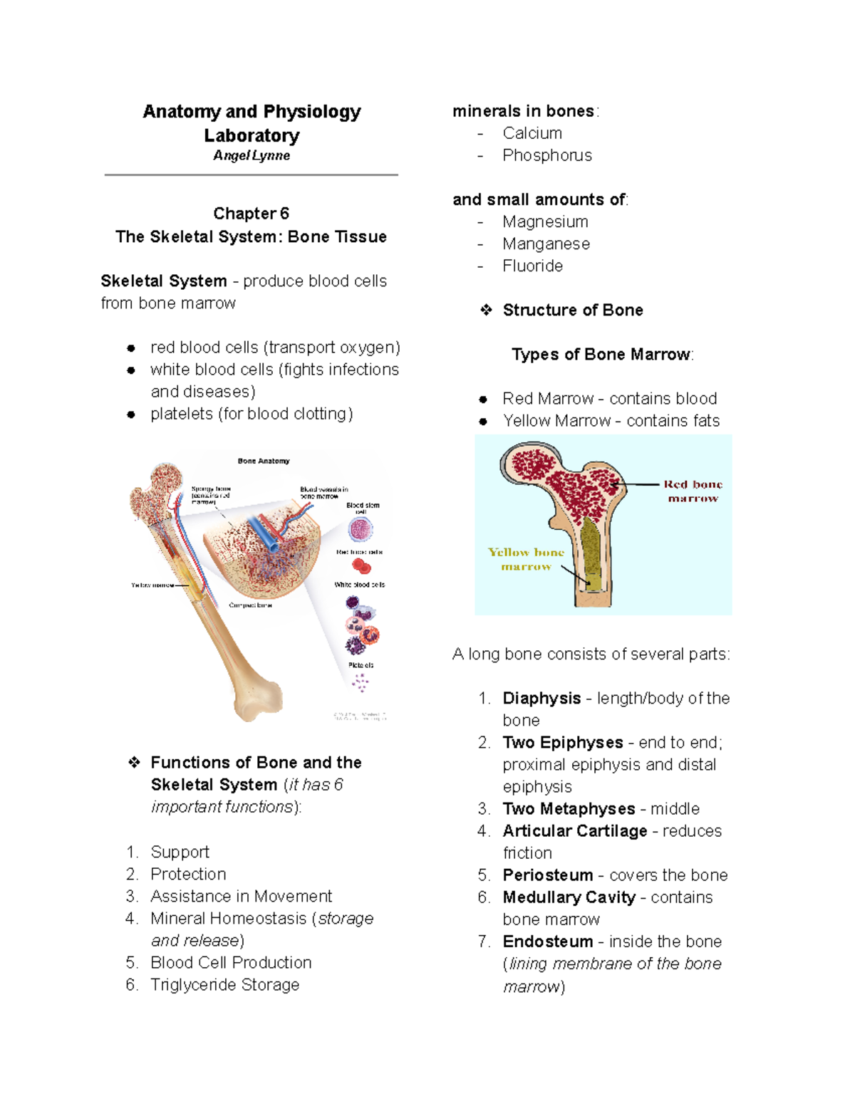 Anaphy lab skeletal - Anatomy and Physiology Laboratory Angel Lynne Chapter 6 The Skeletal ...