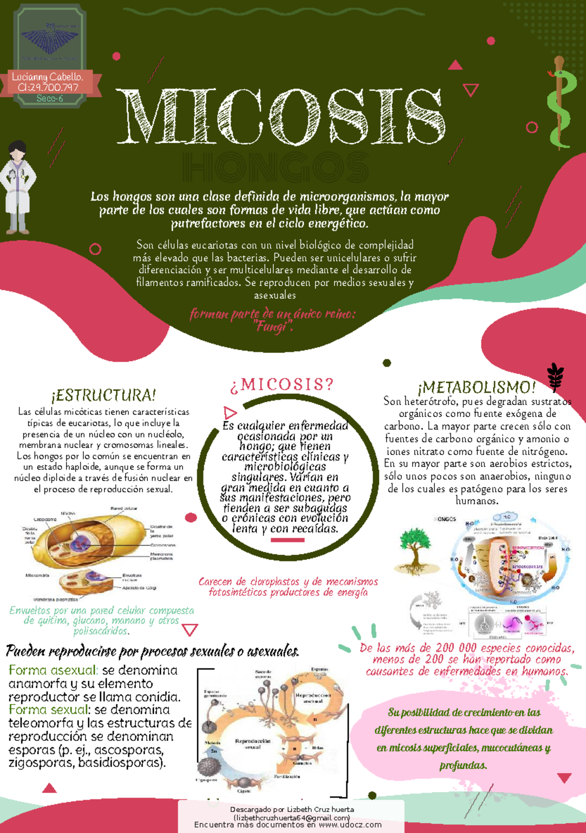 Iii infografia micos 300789 downloadable 3785162 - MICOSIS Los hongos ...