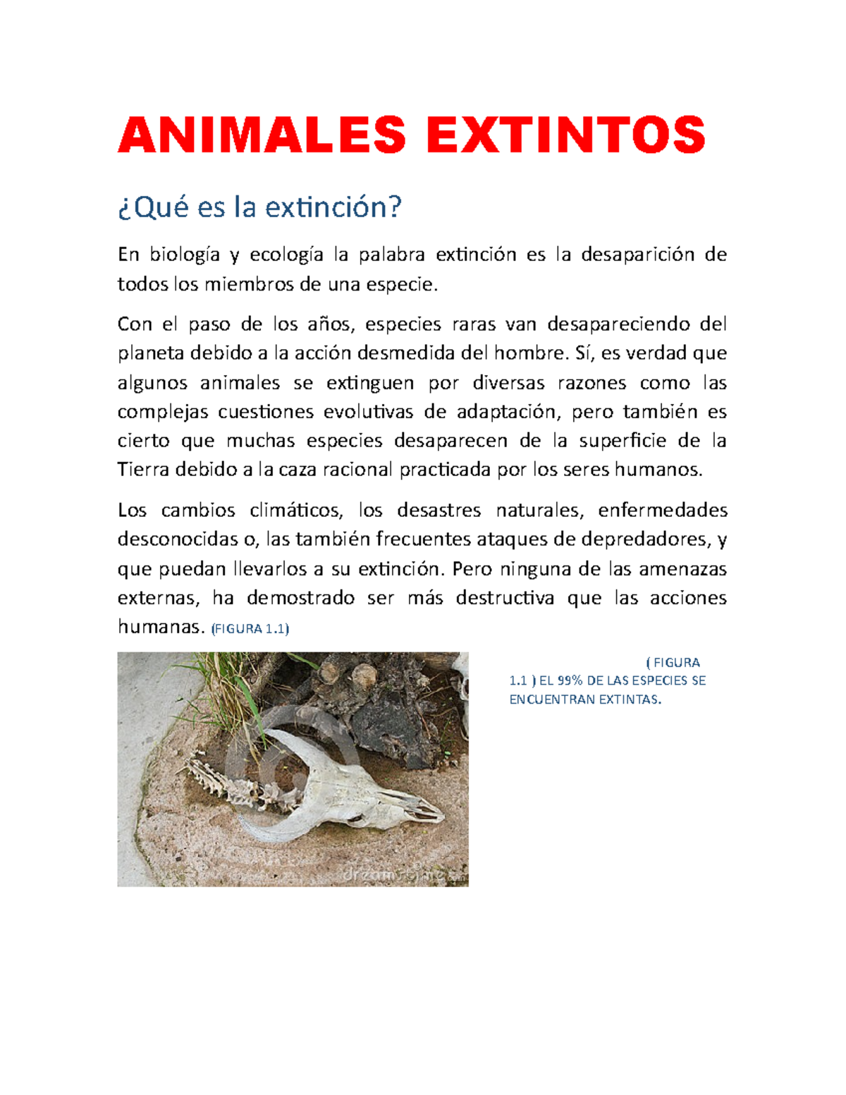 Animales Extintos - nothing - ANIMALES EXTINTOS ¿Qué es la extinción ...