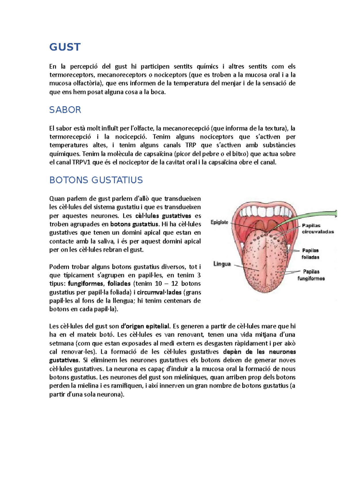 11. Gust - fisiologia 1 - GUST En la percepció del gust hi participen ...