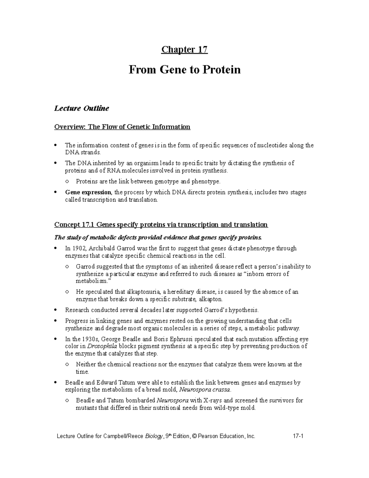 Chapter 17-From Gene to Protein-lecture - The DNA inherited by an ...