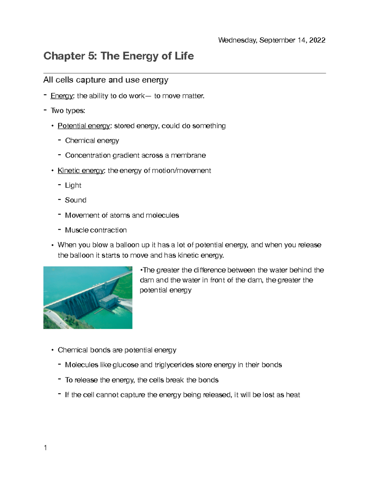 Chapter 5- The Energy of Life - Two types: " Potential energy: stored ...