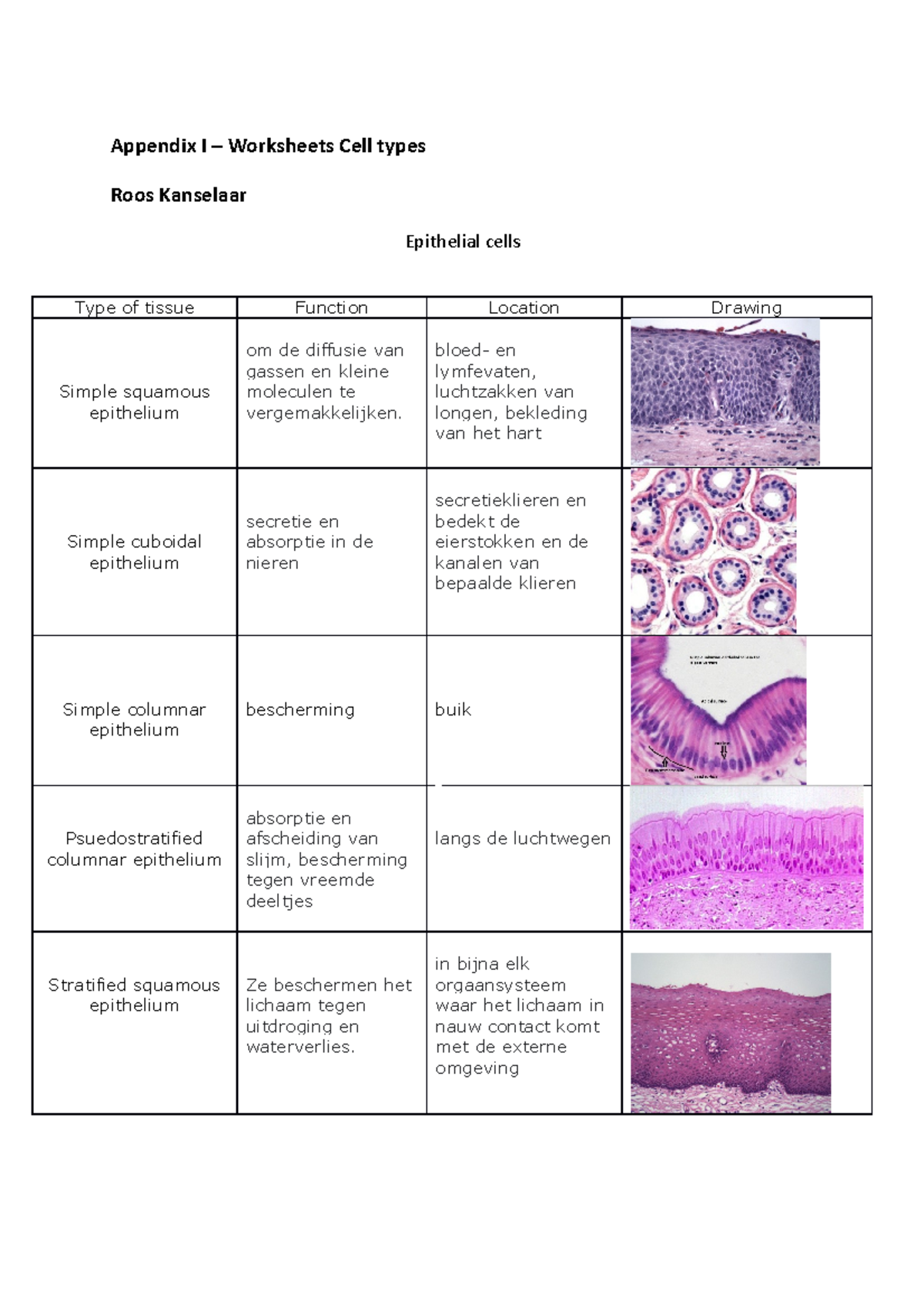 Worksheet histologie en pathologie - Appendix I – Worksheets Cell types ...