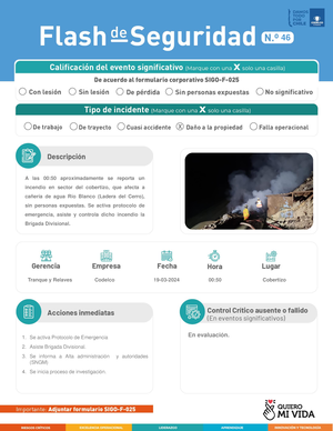 netter 100 anatomia - Cráneo: visión anterior Hueso frontal Sutura ...
