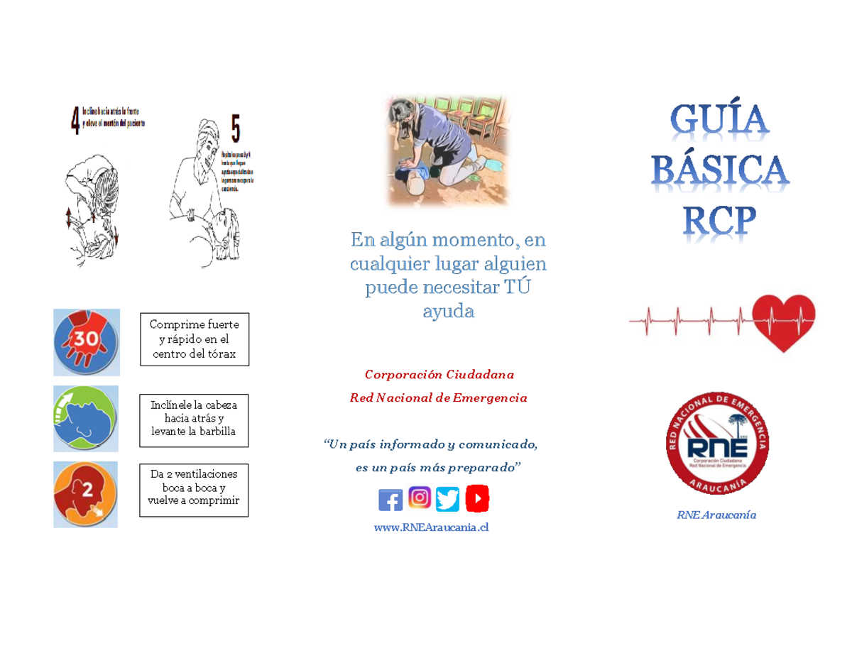 Guia rcp Rne - Guía rcp - CorporaciÛn Ciudadana Red Nacional de ...