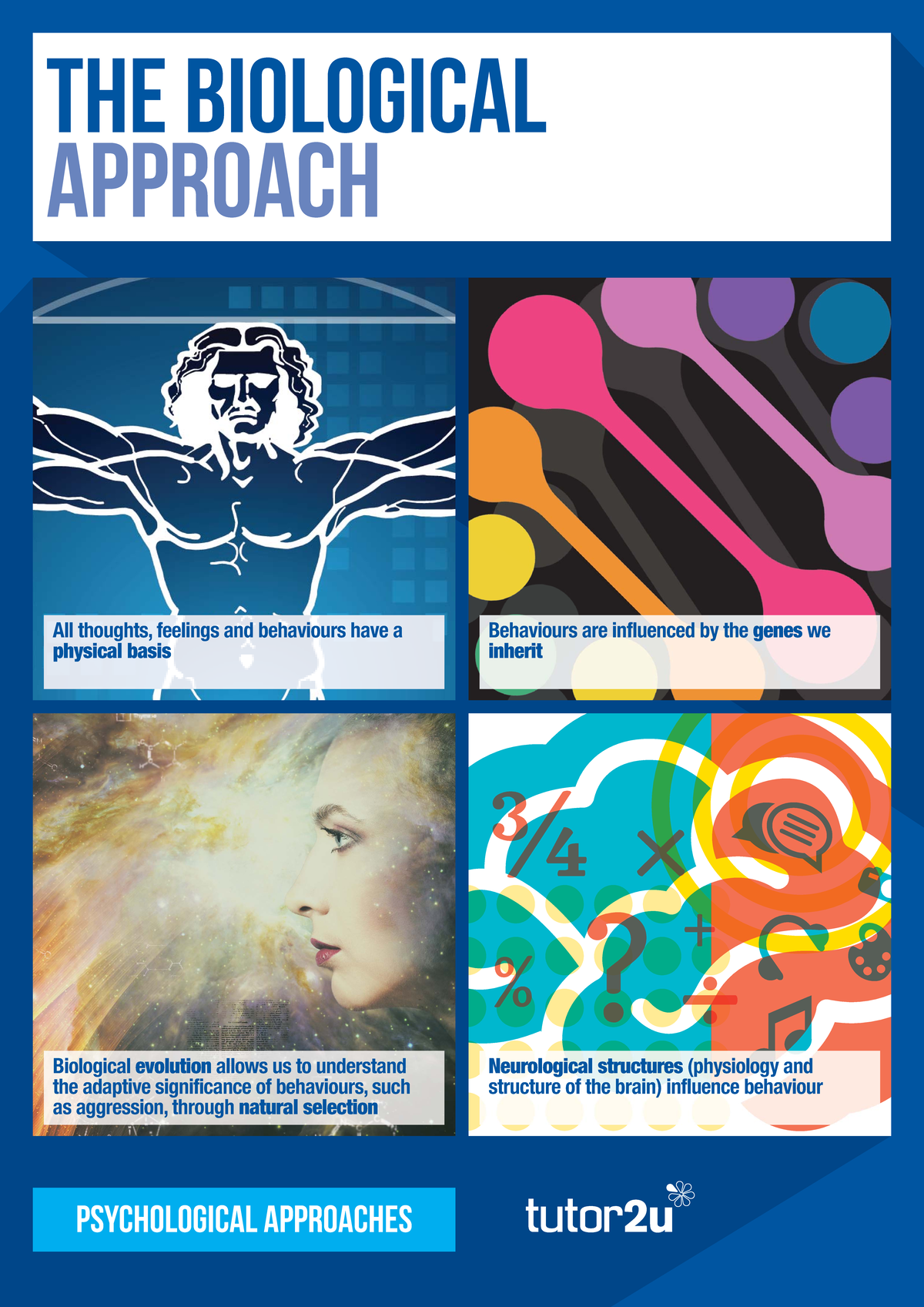 Tutor 2u Psychology Approaches Poster Set - The Biological Approach All ...
