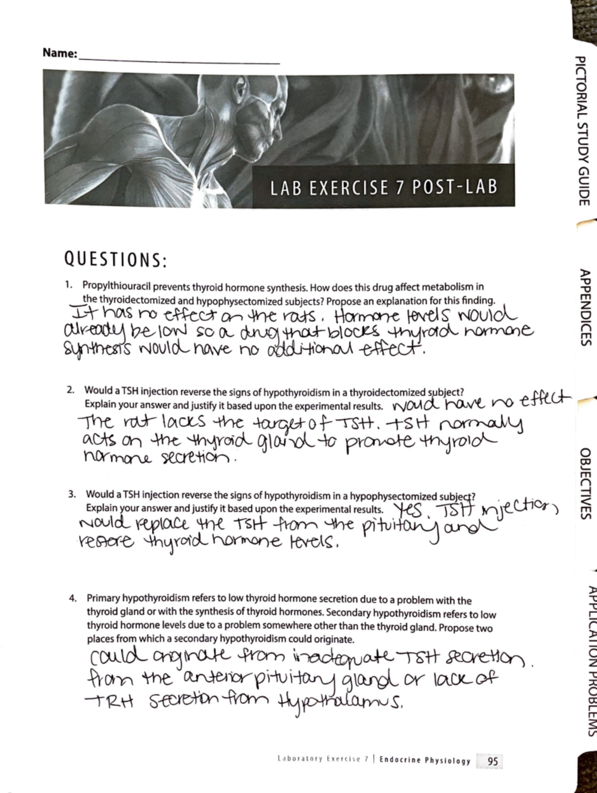 Bio 2301 lab 7 - Lab homework - Name: - QUESTIONS: Propylthiouracil ...