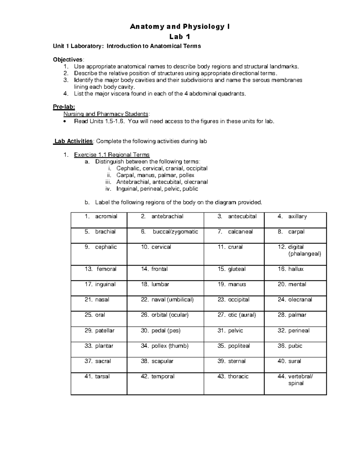 Lab 1 Gross Anatomy - n/a - Anatomy and Physiology I Lab 1 Unit 1 ...