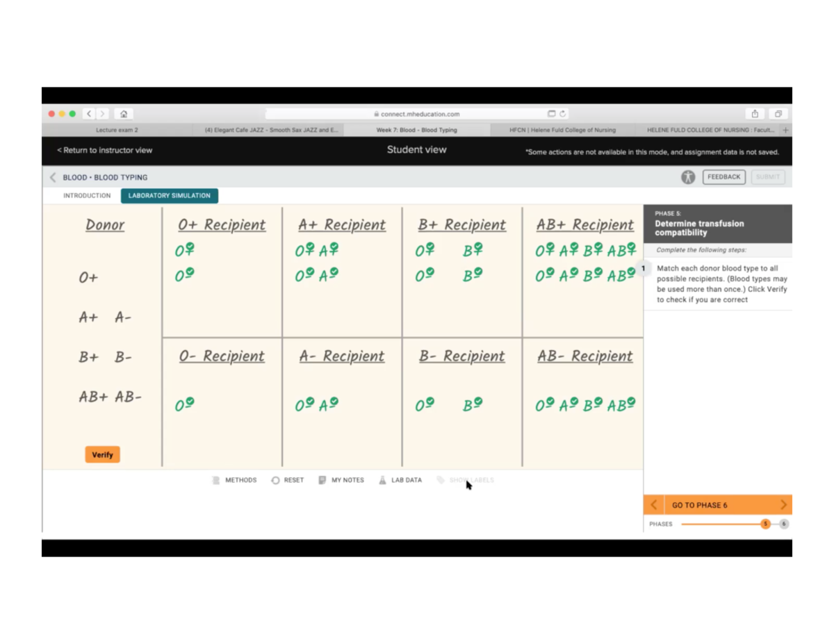 Lab 2 Blood atlas - HAND WORK - Looking at your blood sample results ...