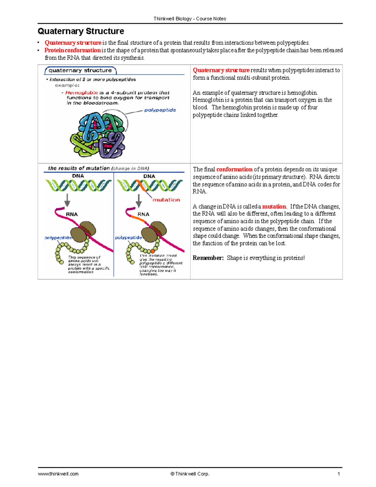 691 - assignment notes - Quaternary Structure Quaternary structure is ...