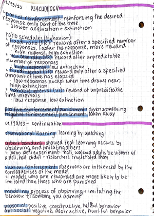 Psychology 100 Lab Experiment on Lexical Decisions - Sydney Kleis ...