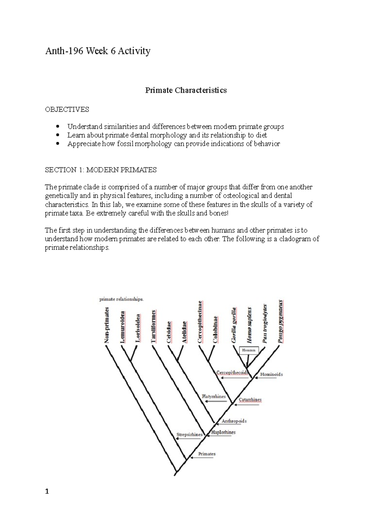 Anth 196 Week 6 Activity - Anth-196 Week 6 Activity Primate ...