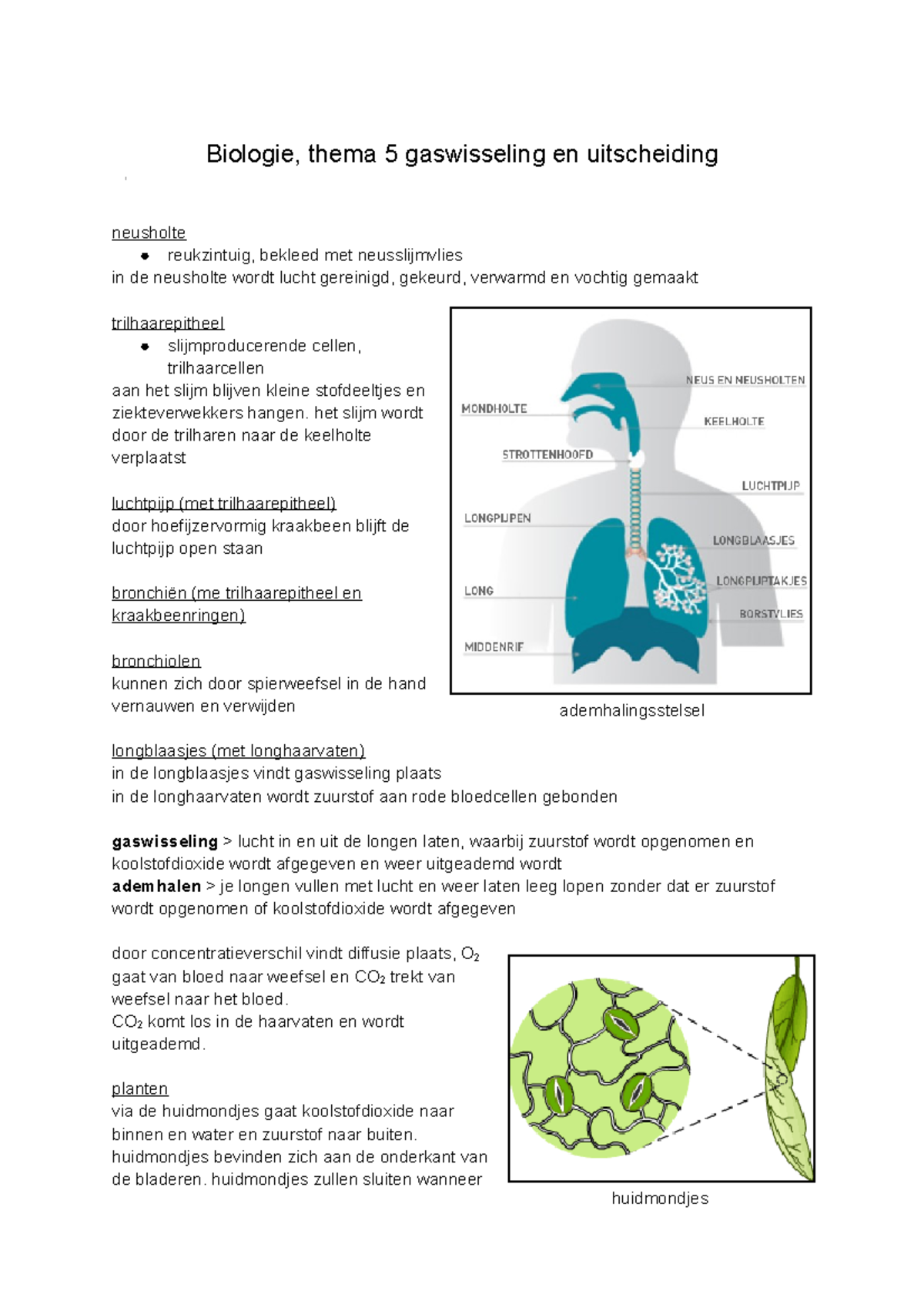 Thema 5 - gaswisseling en uitscheiding - Biologie, thema 5 gaswisseling ...