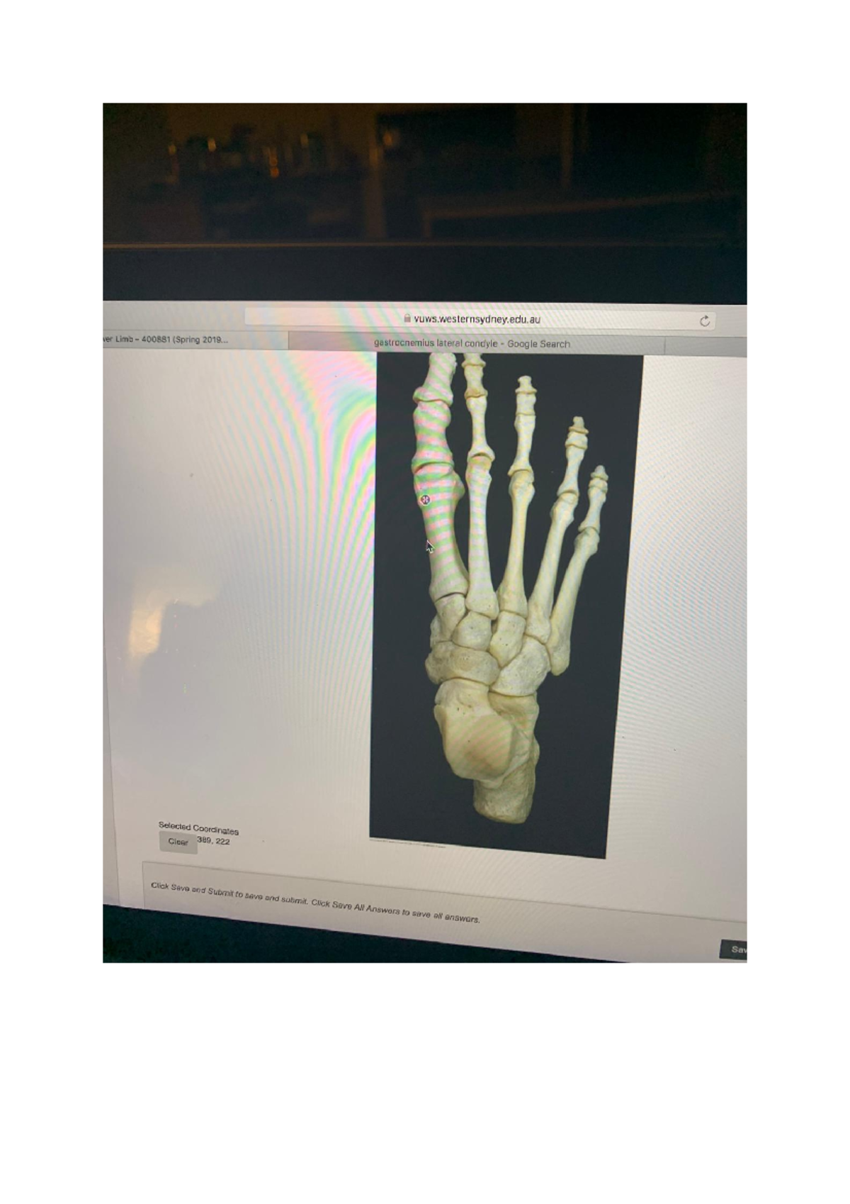 Functional Anatomy Worksheet - 700190 - Studocu