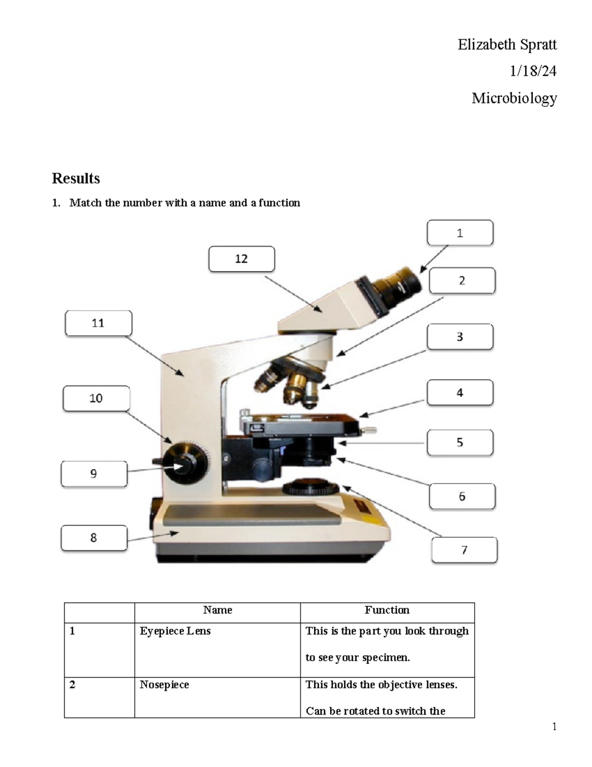 Lab Microscope analysis - Elizabeth Spratt 1/18/ Microbiology Results 1 ...