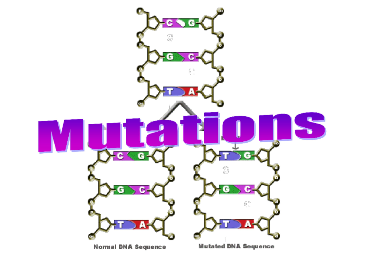 Mutation Lecture Notes - Studocu