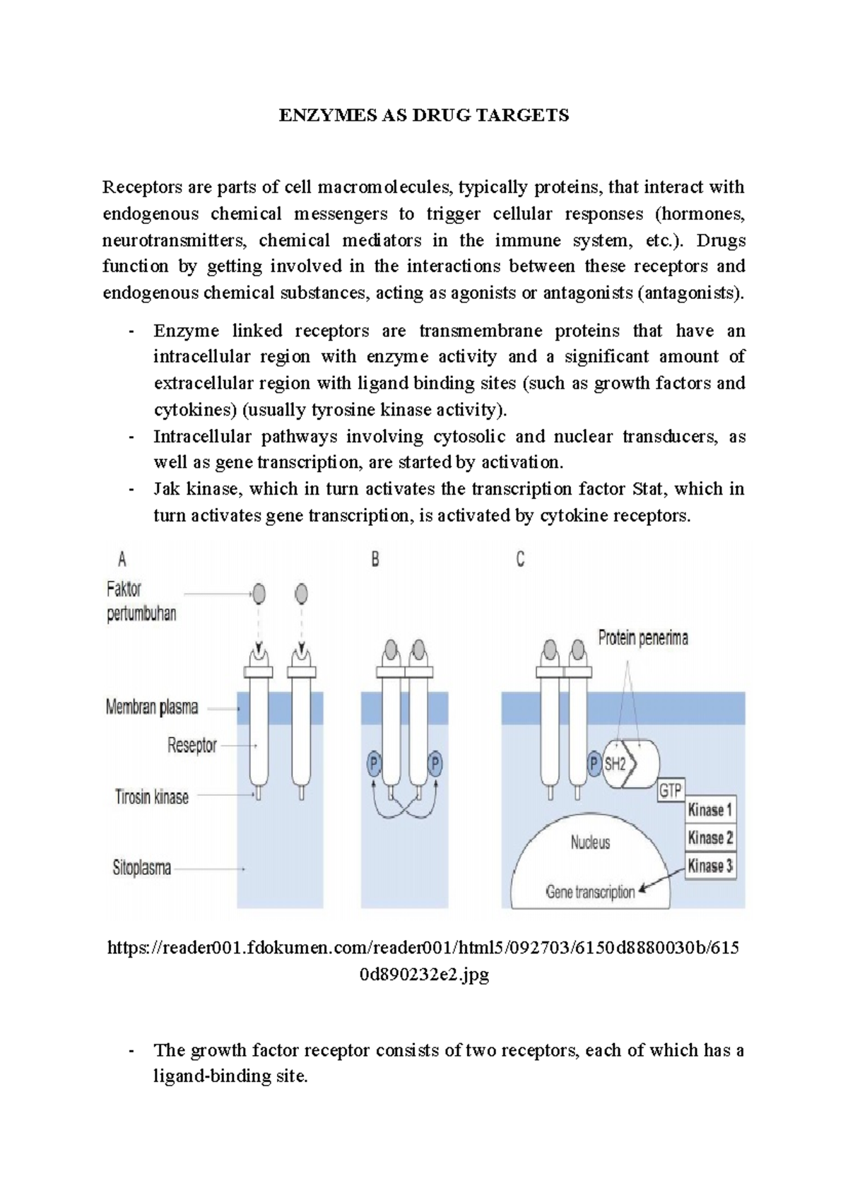 Enzymes As Drug Targets - ENZYMES AS DRUG TARGETS Receptors are parts ...