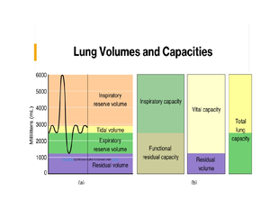 Chapter 6 Learning Objectives - Chapter 6 Learning Objectives 1. Know the structures and ...