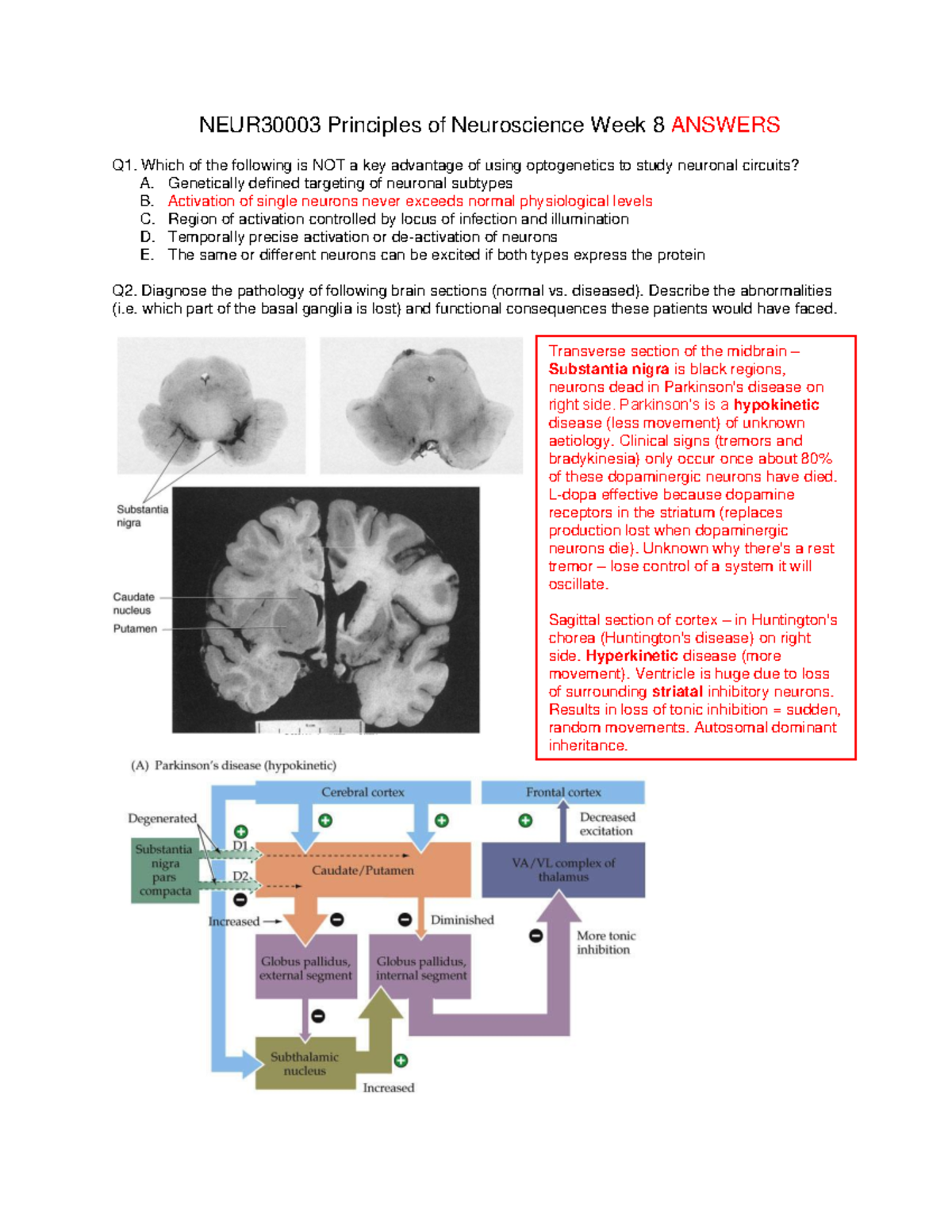 NEUR30003 Tutorial Week 8 Answers - NEUR30003 Principles of Neuroscience Week 8 ANSWERS Q1 ...