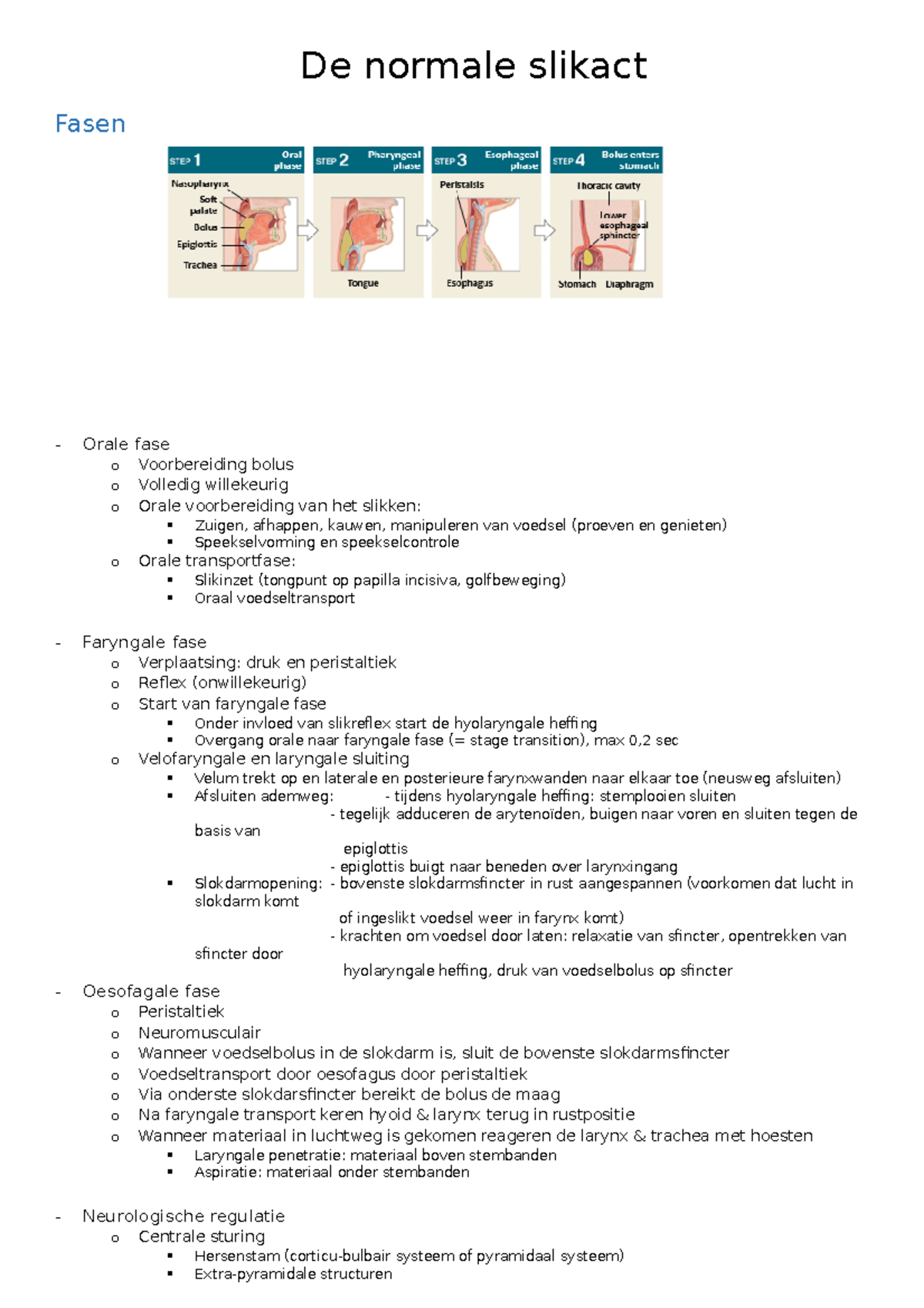 Slikact - Samenvatting volledig - De normale slikact Fasen Orale fase o ...