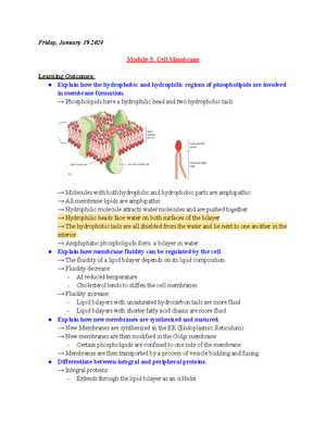 Biolab 2 RBC - lab report 2 RBC - Red Blood Cell Assignment – The time ...