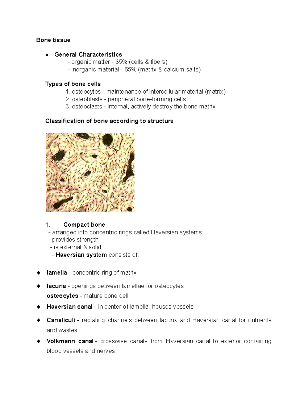 Bone tissue - REFERENCE - Bone tissue General Characteristics - organic ...