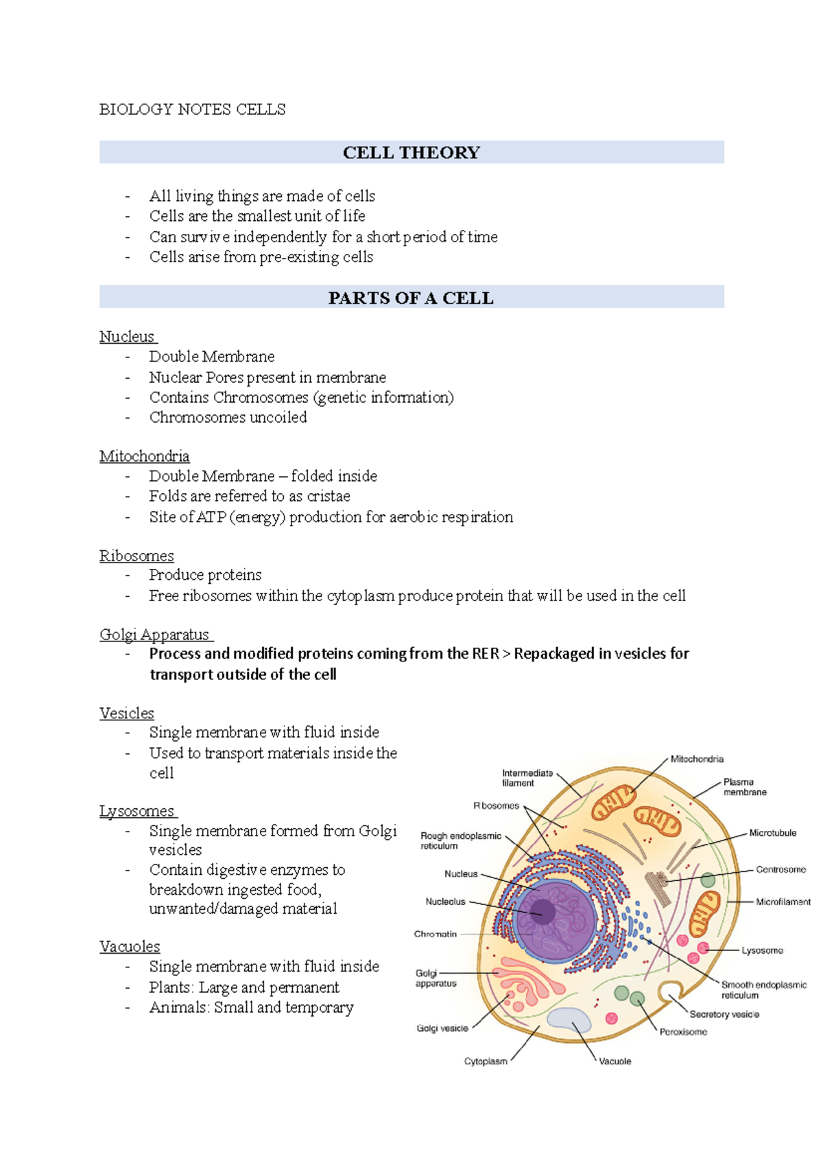 Biology cell and organisation notes - BIOLOGY NOTES CELLS CELL THEORY ...