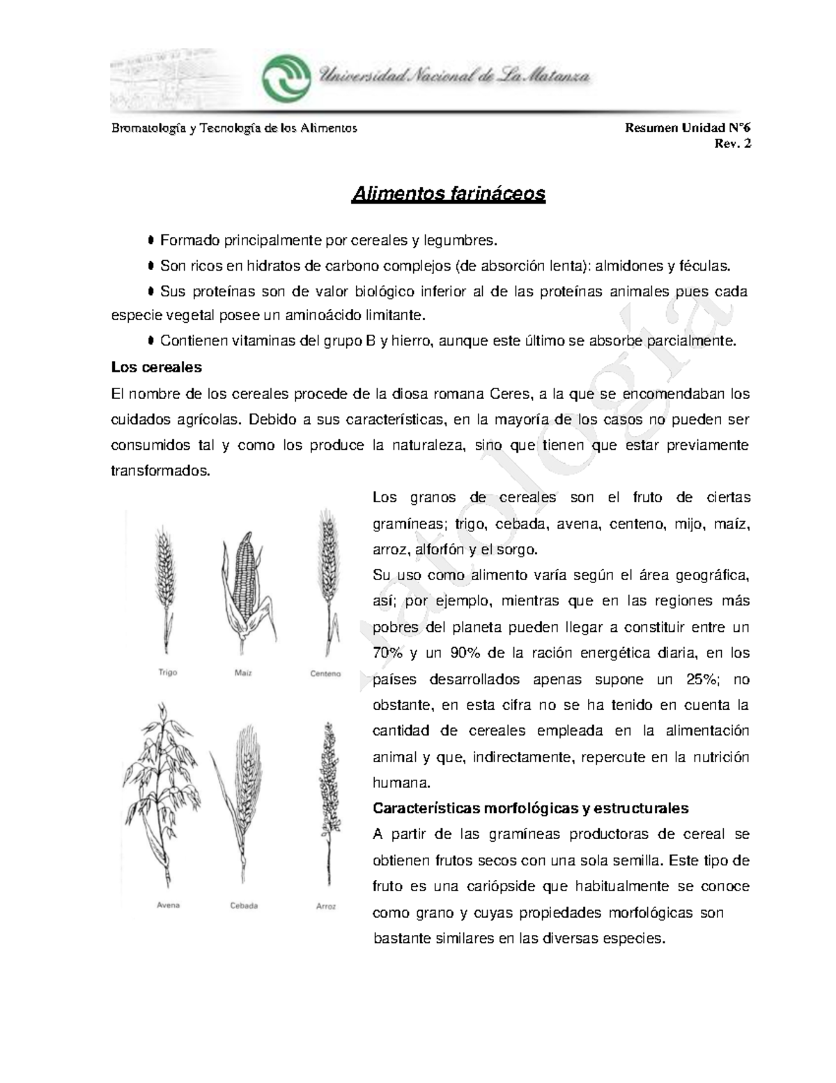 Texto-resumen-unidad-6 2 - Rev. 2 Alimentos farináceos ⚫ Formado ...