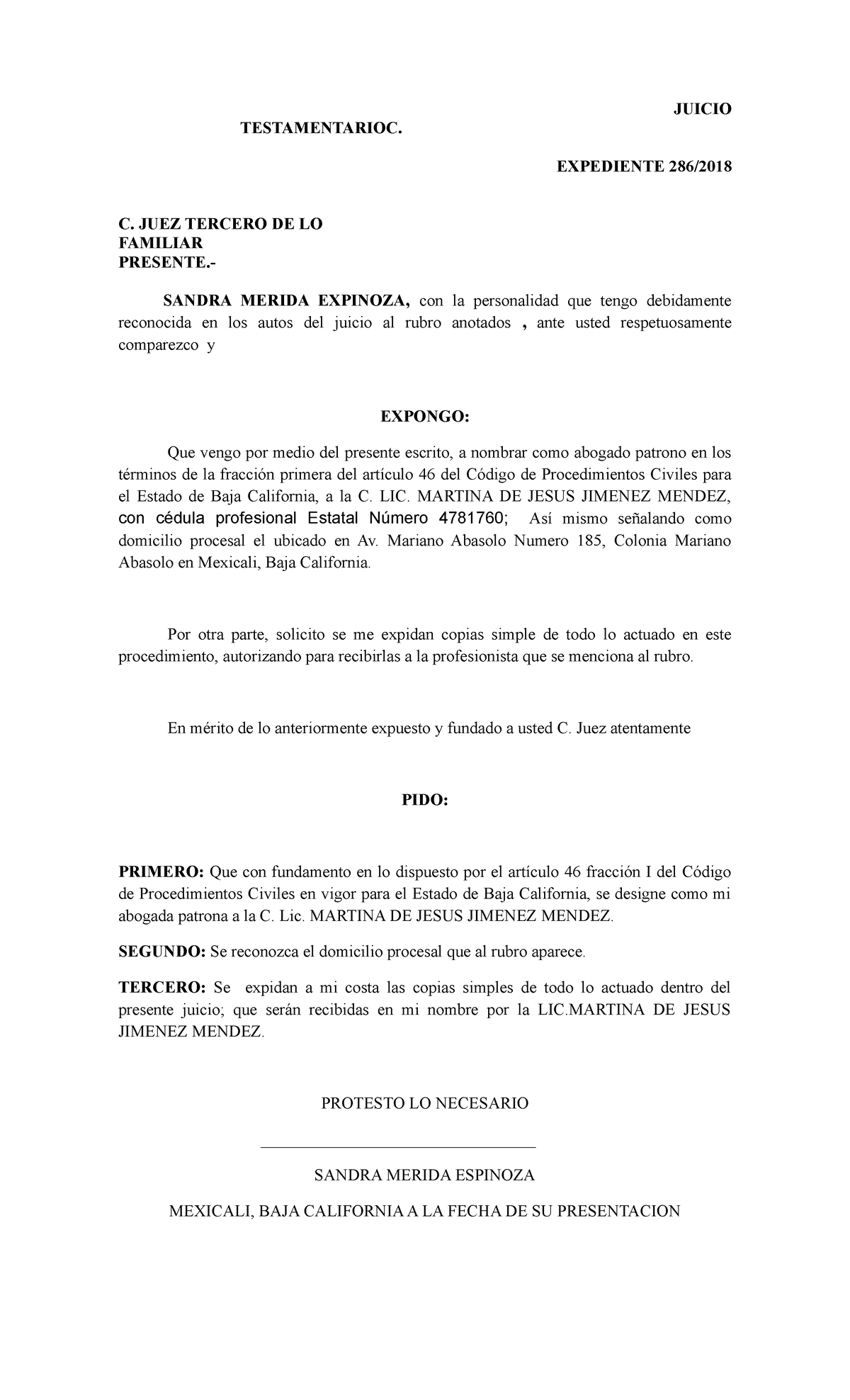 Sandra Merida Testamentario - JUICIO TESTAMENTARIOC. EXPEDIENTE 286/ C ...