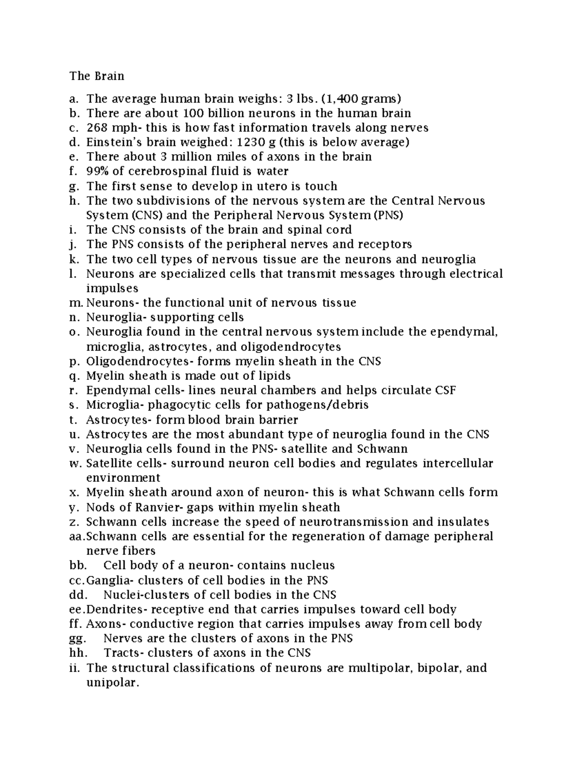 The Brain Notes - The Brain a. The average human brain weighs: 3 lbs ...