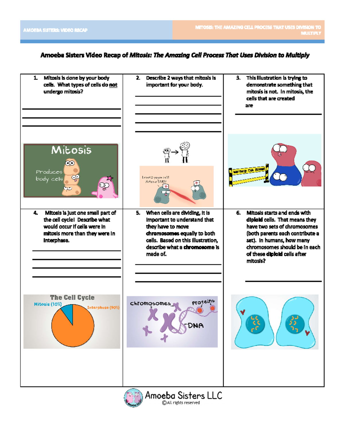 Mitosis worksheet - BIOL 1011 - Studocu
