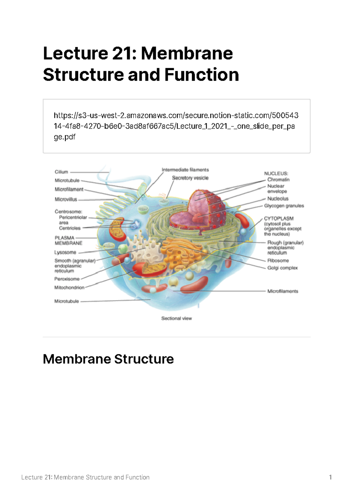 Membrane Structure and Function - Lecture 21: Membrane Structure and ...