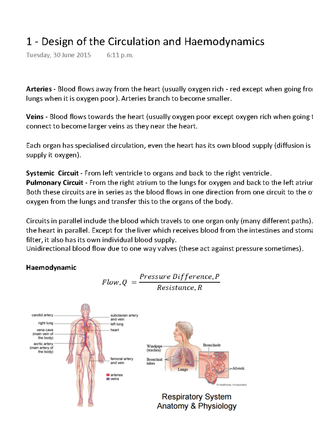 1 - Design of the Circulation and Haemodynamics - Warning: TT ...