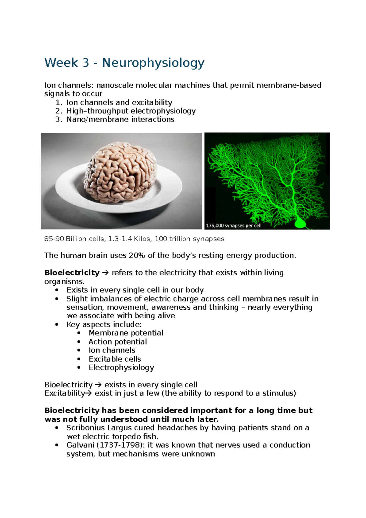Week 3 - neurophysiology - Week 3 - Neurophysiology Ion channels: nanoscale molecular machines ...