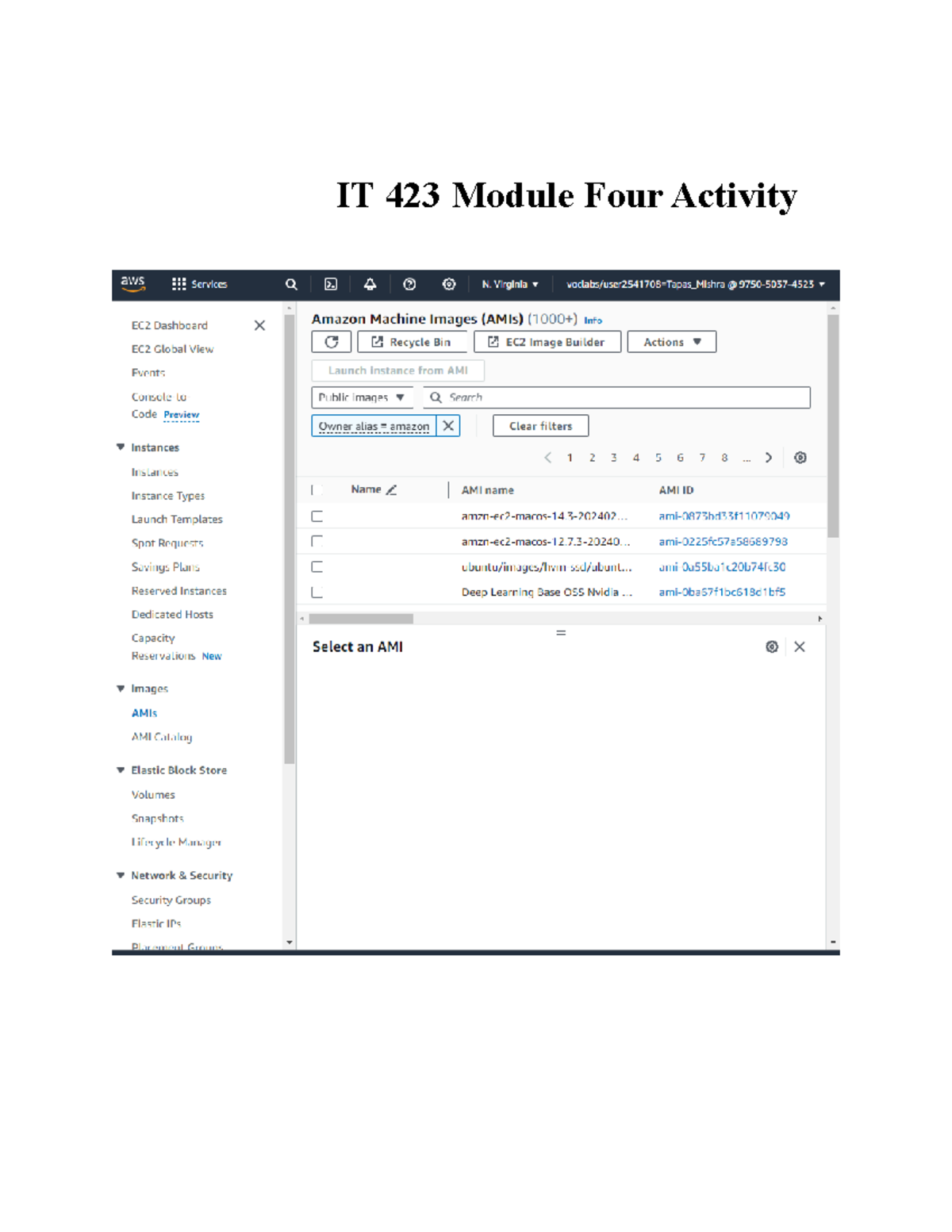 IT 423 Module 4 assignemets - IT 423 Module Four Activity Using EC2 ...