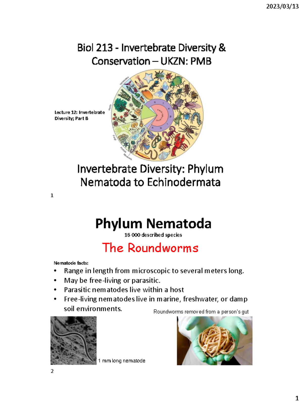 L#12 Invertebrate Animal Diversity Nematoda to Echinoderamata CM ...