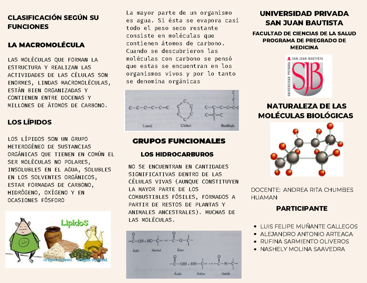 Triptico de Naturaleza DE LAS Moléculas Biológicas - CLASIFICACIÓN ...