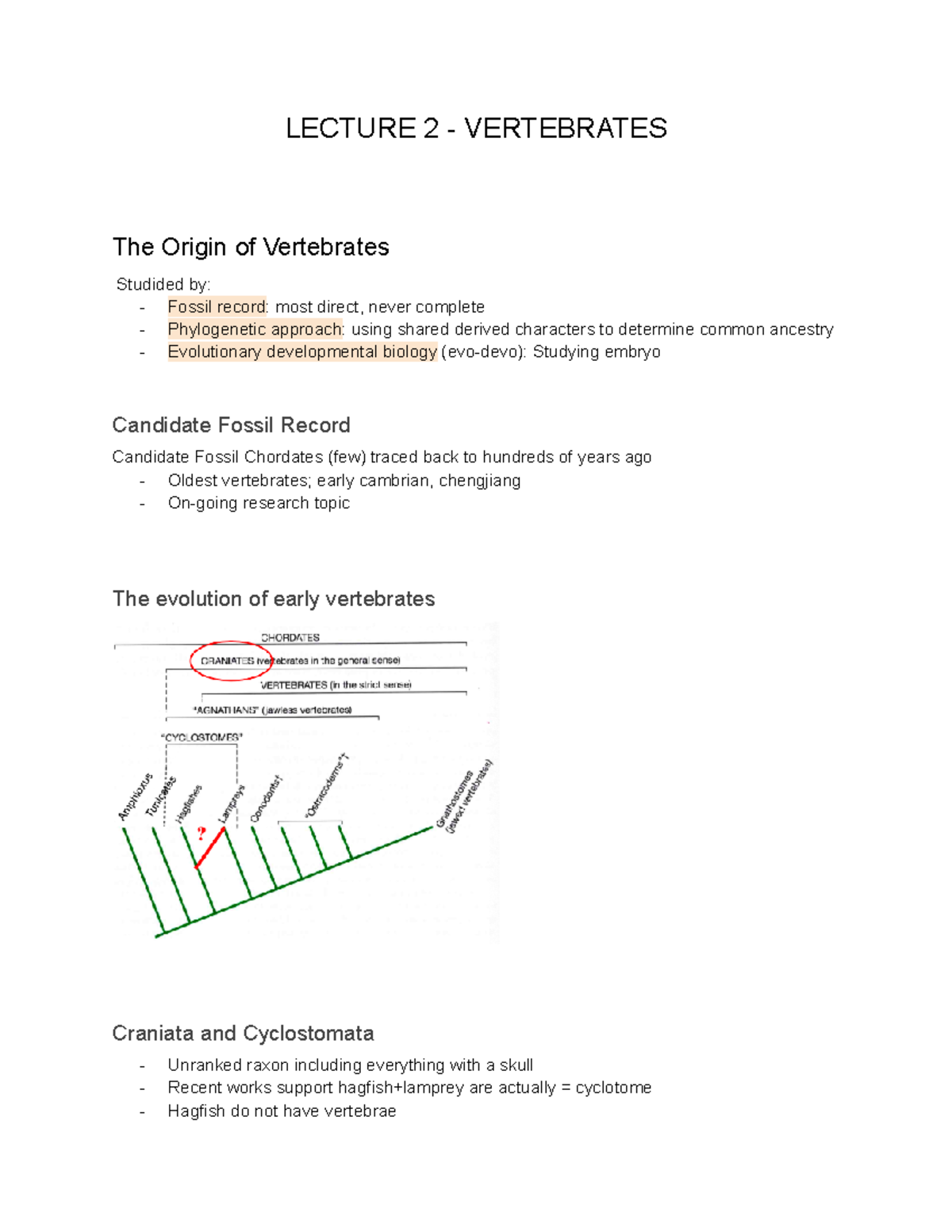 ZOO 2090 lec 2 Vertebrae Structure and Function Notes - Google Docs ...