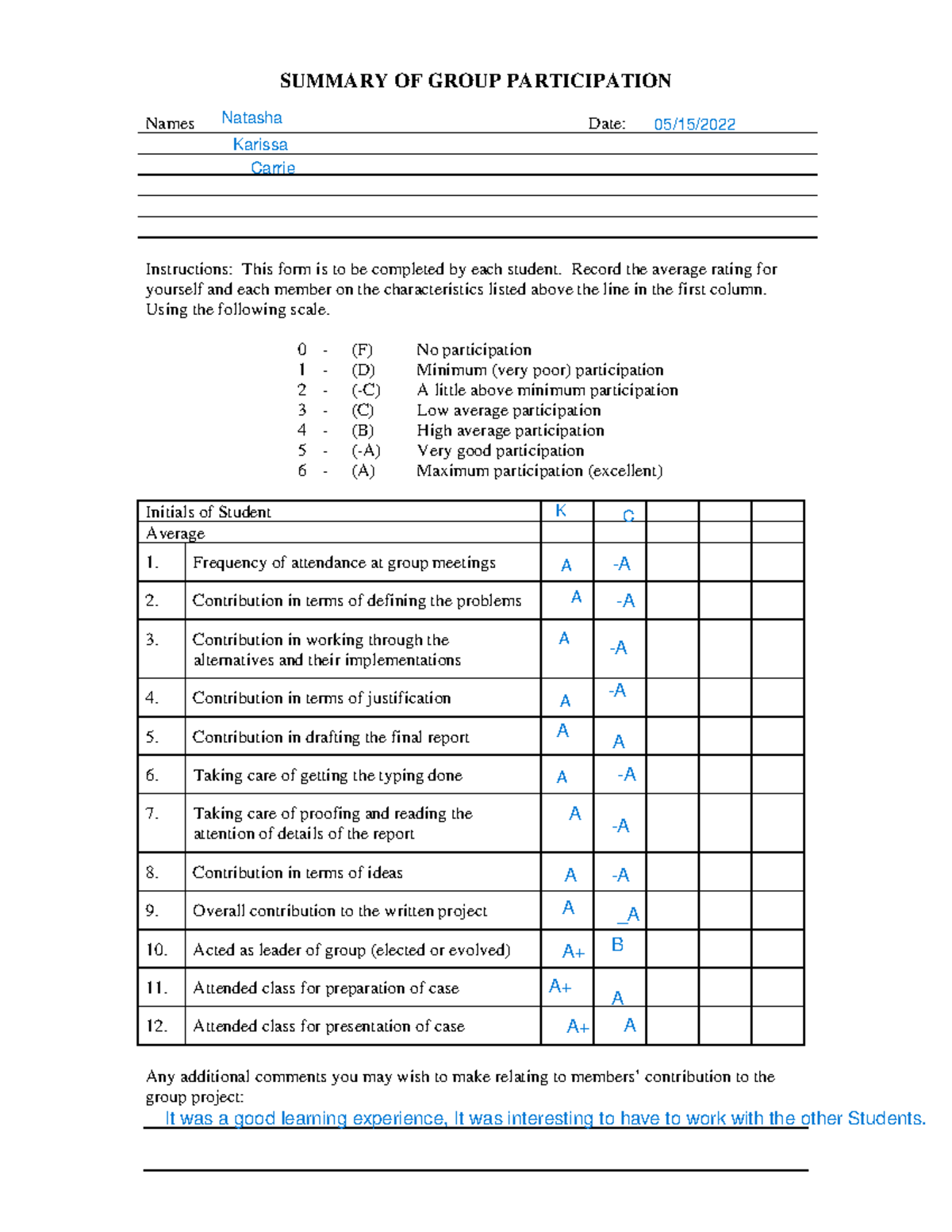 Natasha ENTE v2-0 Summary of Group Participation 2013-1101 - SUMMARY OF ...