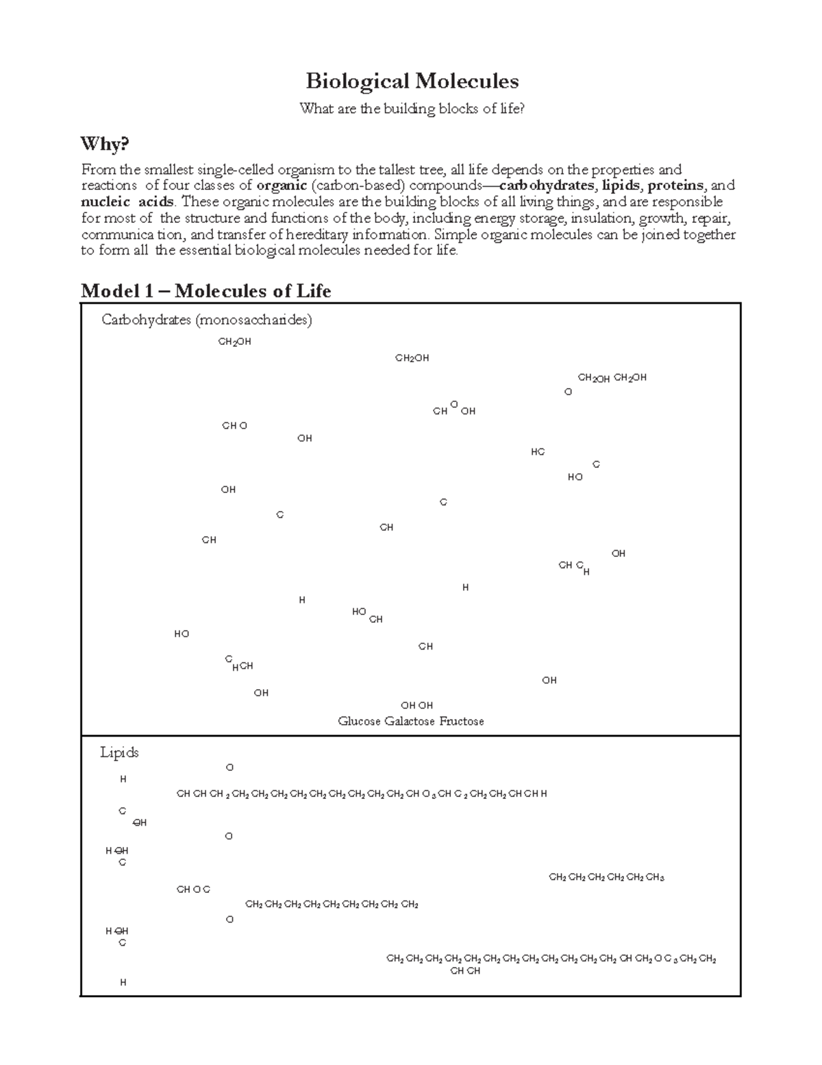 6 Biological Molecules-S - Biological Molecules What are the building blocks of life? Why? From ...