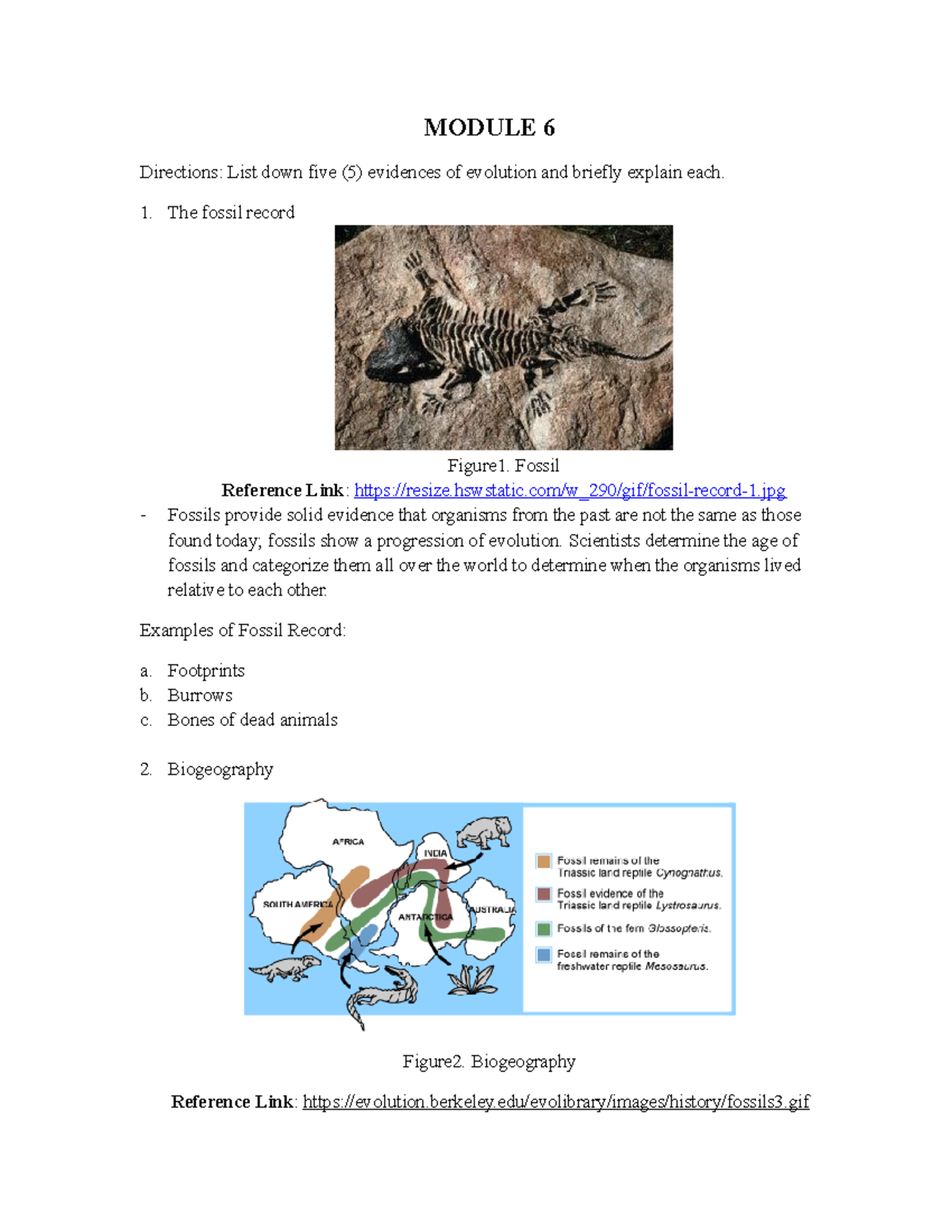Evidences of Evolution - The fossil record Figure1. Fossil Reference ...