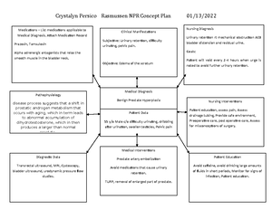 MDC 3 - SIM LAB Medication Template - Medication Template Medication ...