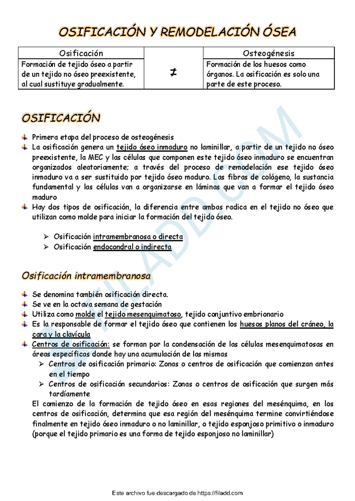 Osificacion Y Remodelacion OSEA - OSIFICACIÓN Y REMODELACIÓN ÓSEA ...