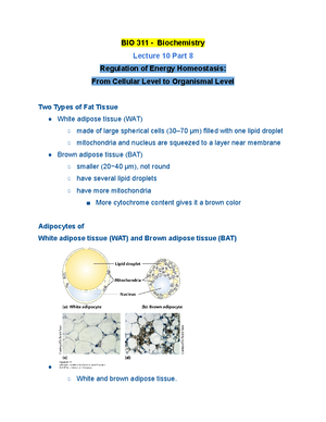 BIO 311 Lecture 11 Part 2 Fall 2020 - BIO 311 - Biochemistry Lecture 11 ...