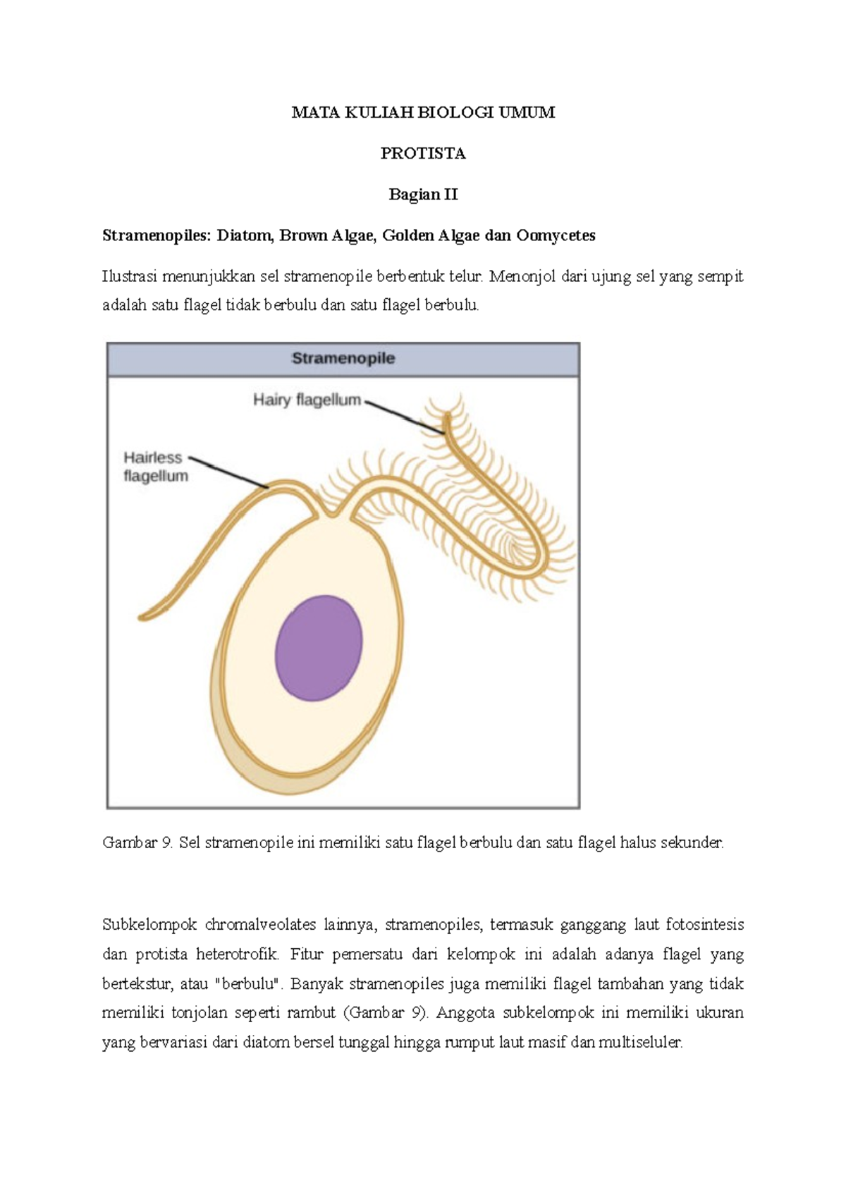 Biologi Umum - Kelompok Protista Bagian II - MATA KULIAH BIOLOGI UMUM ...