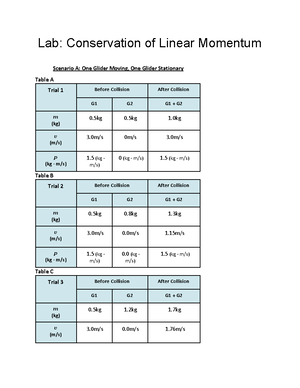 6.05 Lens and Mirror Lab - 6 Lens and Mirror Lab Table 1: Convex Lens ...