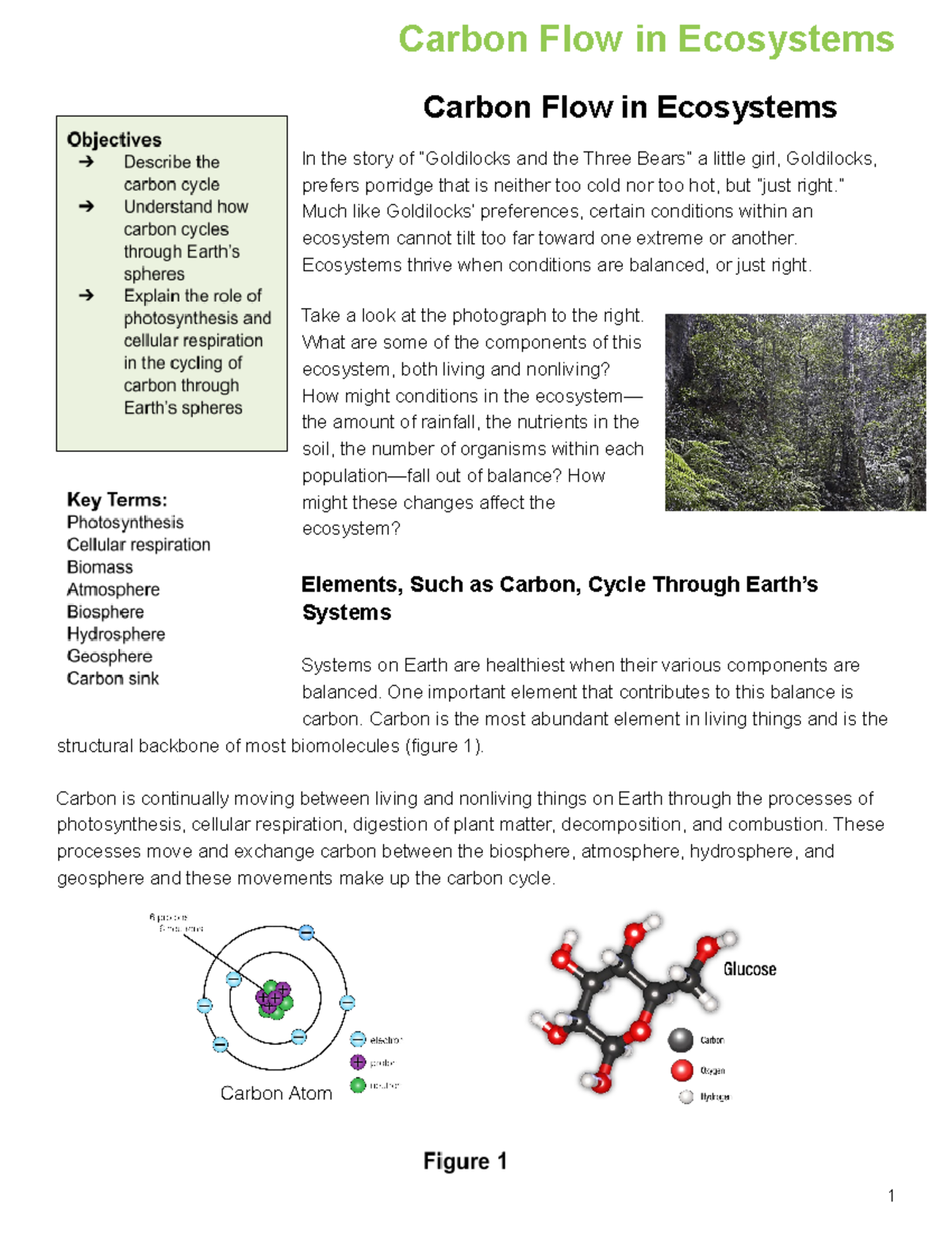 Ayjah Ford - NGSS3D HSLS Carbon Flow In Ecosystems Explain STEMscopedia ...