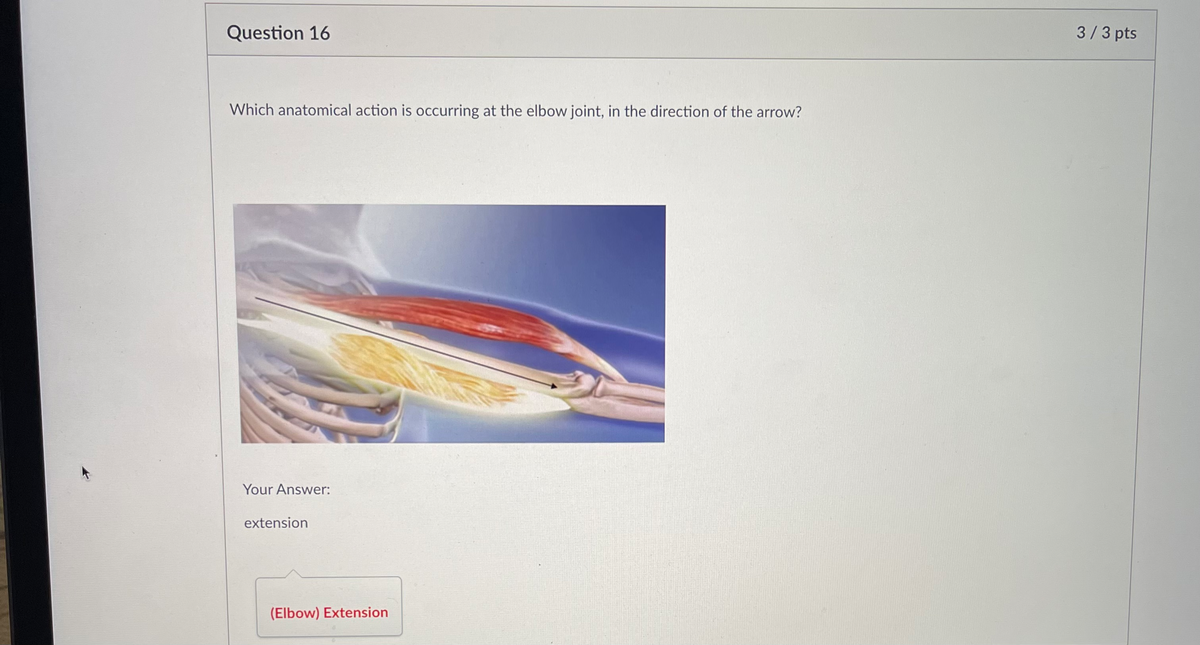 Portage Learning A & P 1 Exam 1 - BIOD 151 - Question 16 Which ...