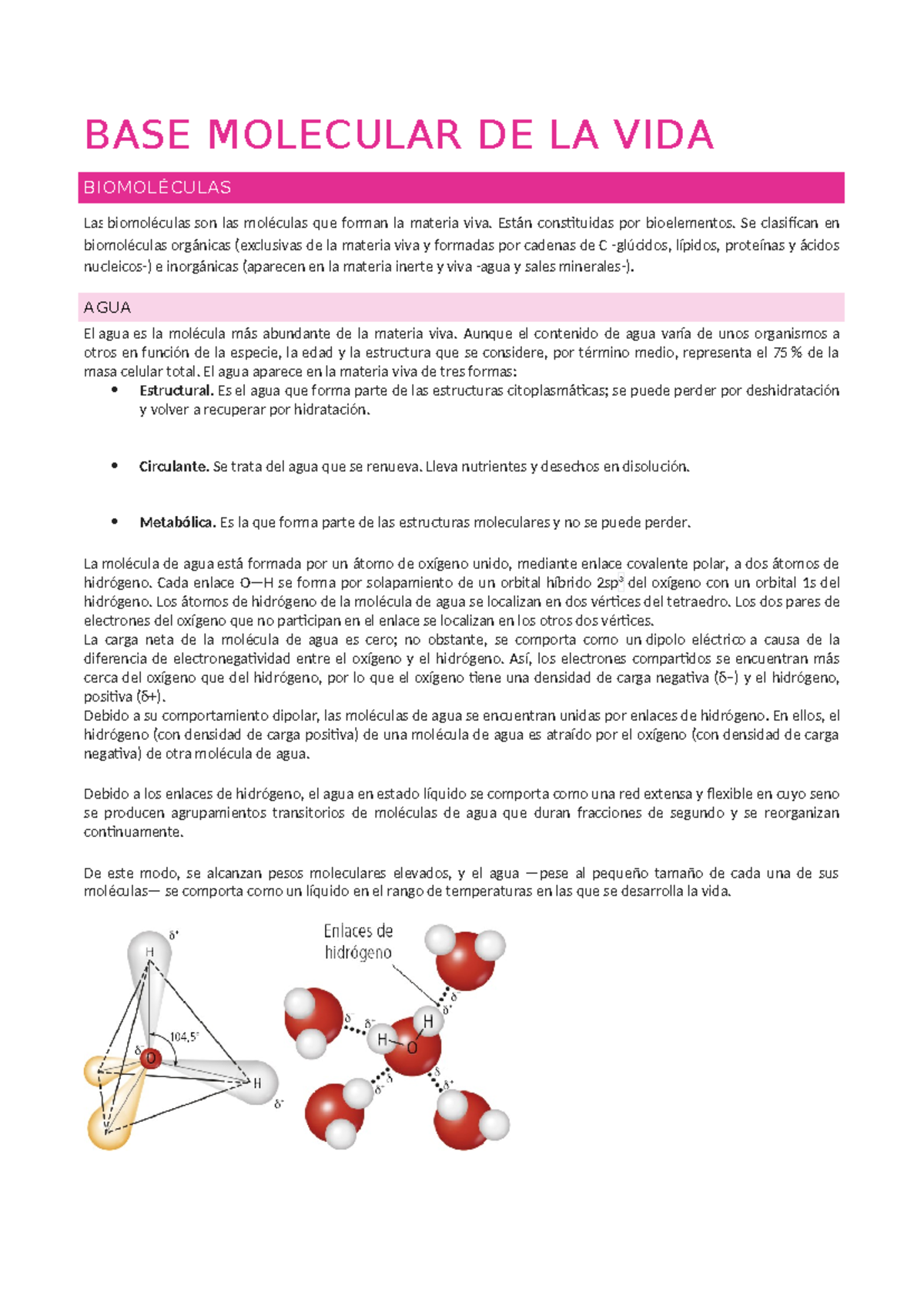 1. BASE Molecular DE LA VIDA - BASE MOLECULAR DE LA VIDA BIOMOLÉCULAS Las biomoléculas son las ...